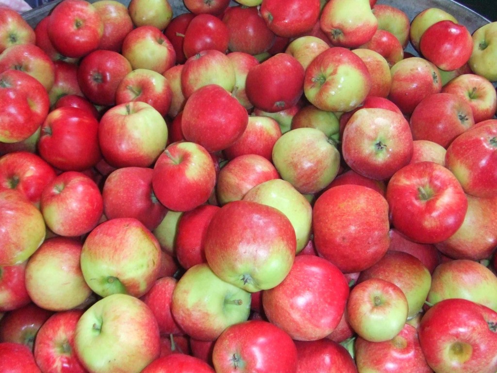 Lebanese apples coming to a shop near you