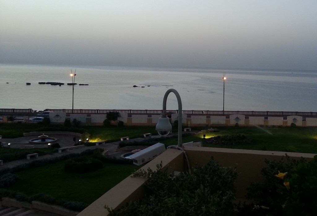 Interior Minister Mazig reveals that 30 percent of city security ...