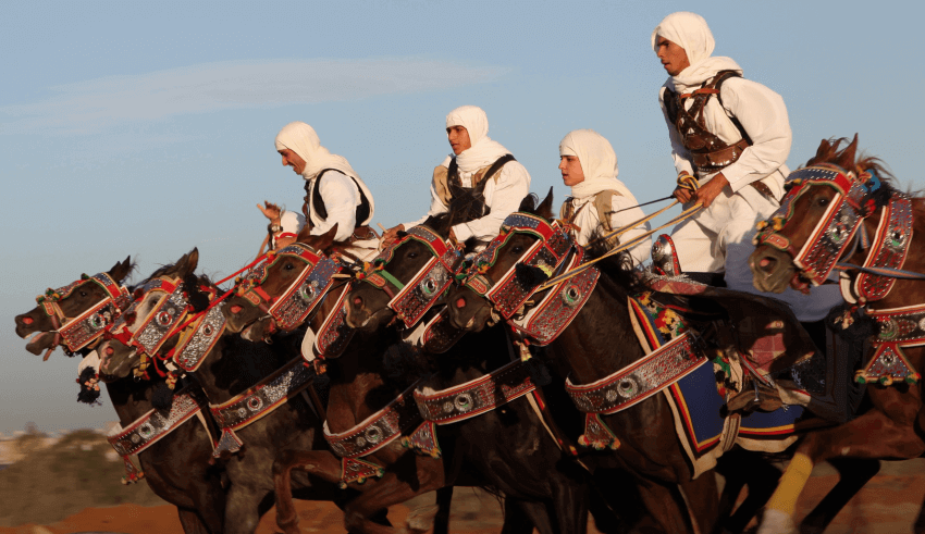 Benghazi festival this week celebrates horses and horsemanship