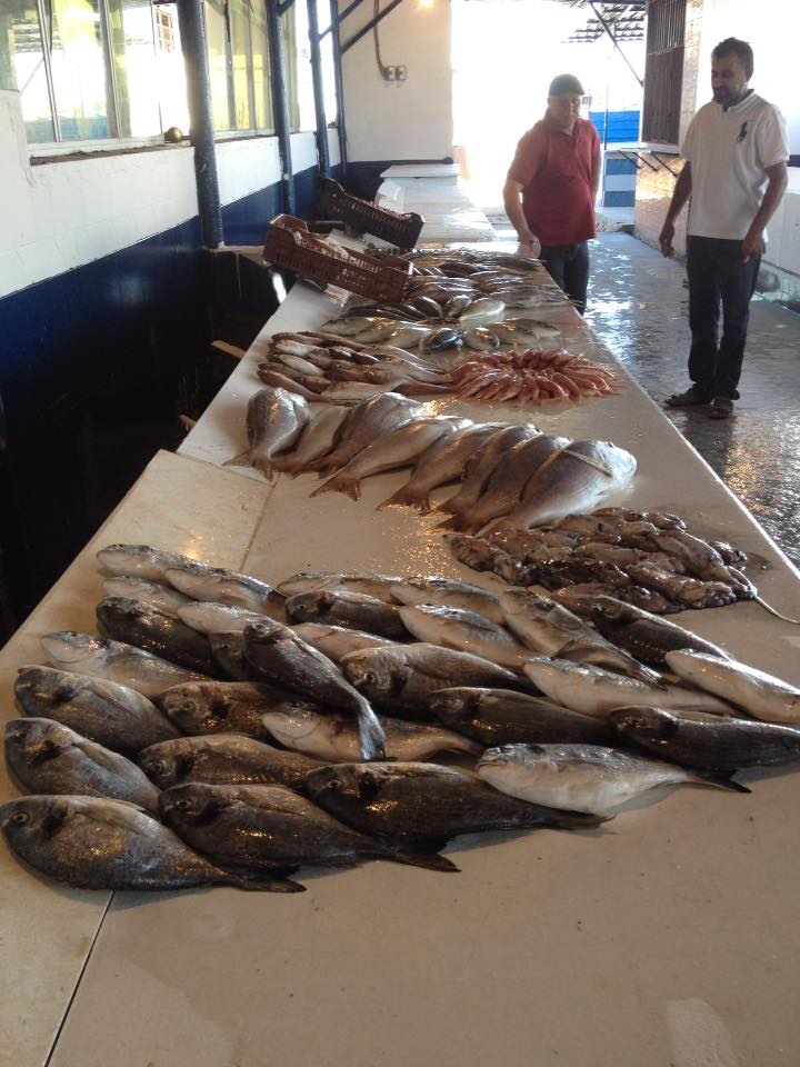 Benghazi fish market reopens after three years