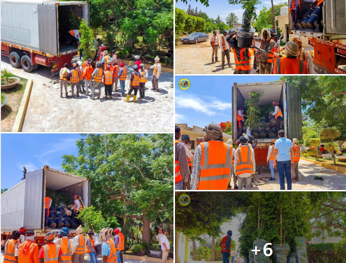 Second batch of trees arrive in Tripoli as part of the one million tree ...